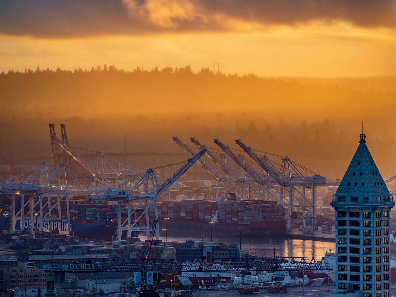 US West Coast ports shut by ILWU dockworkers - Metro