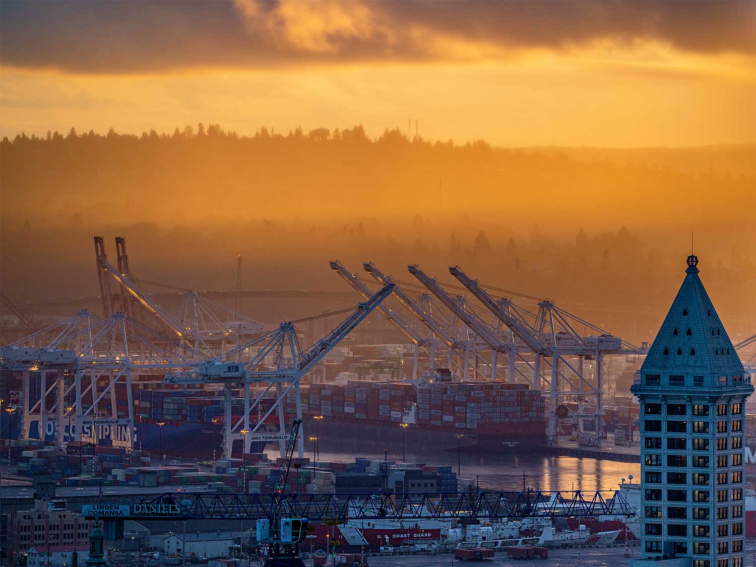 US West Coast ports shut by ILWU dockworkers - Metro