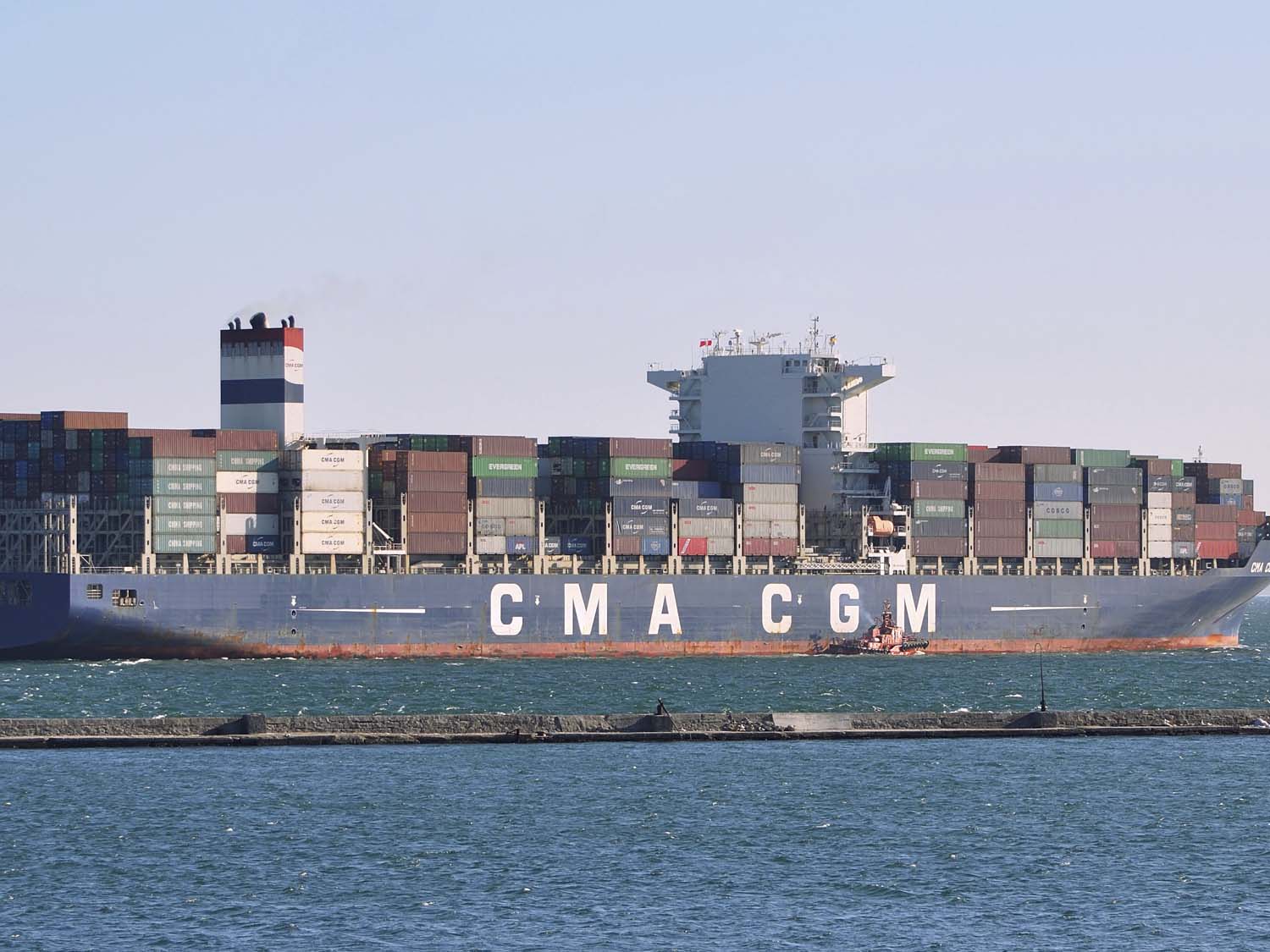 Container line alliances stifling innovation - Metro