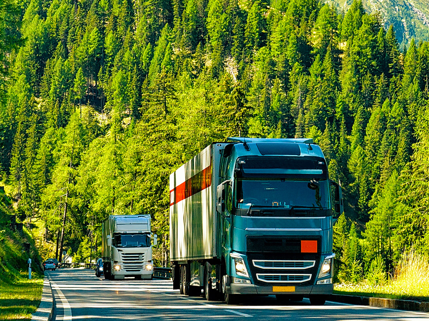 Take your customs declarations to a whole new level - Metro