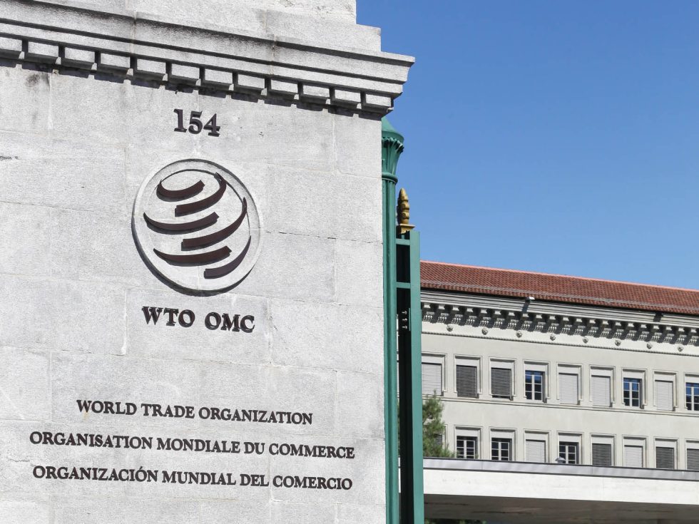 WTO forecast economic rebound next year | Metro Global