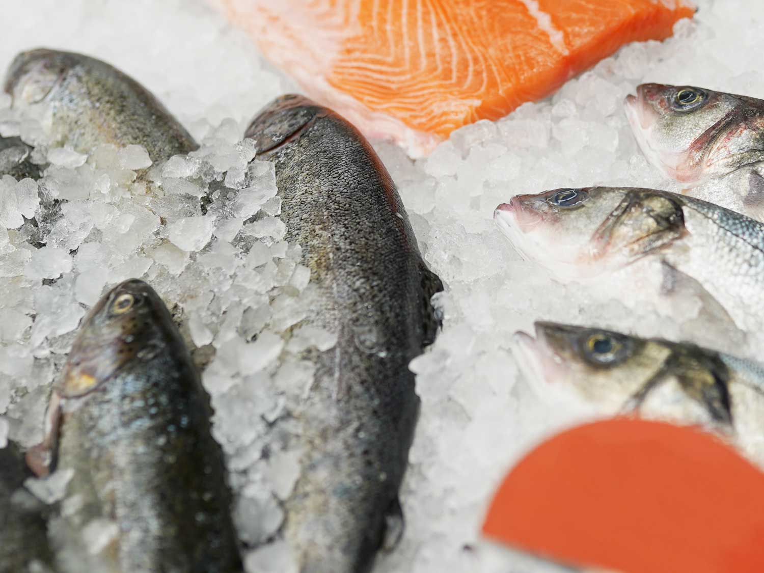 Sharing best practice in shipping foodstuffs - Metro