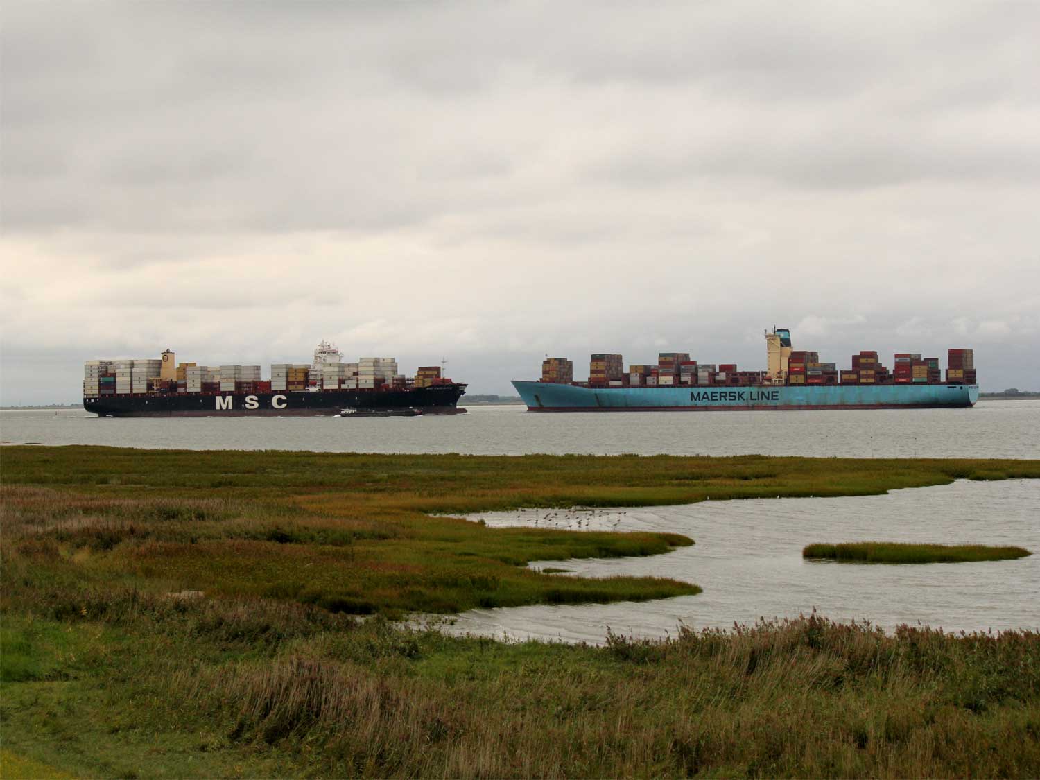 New shipping alliances for 2025 - Metro